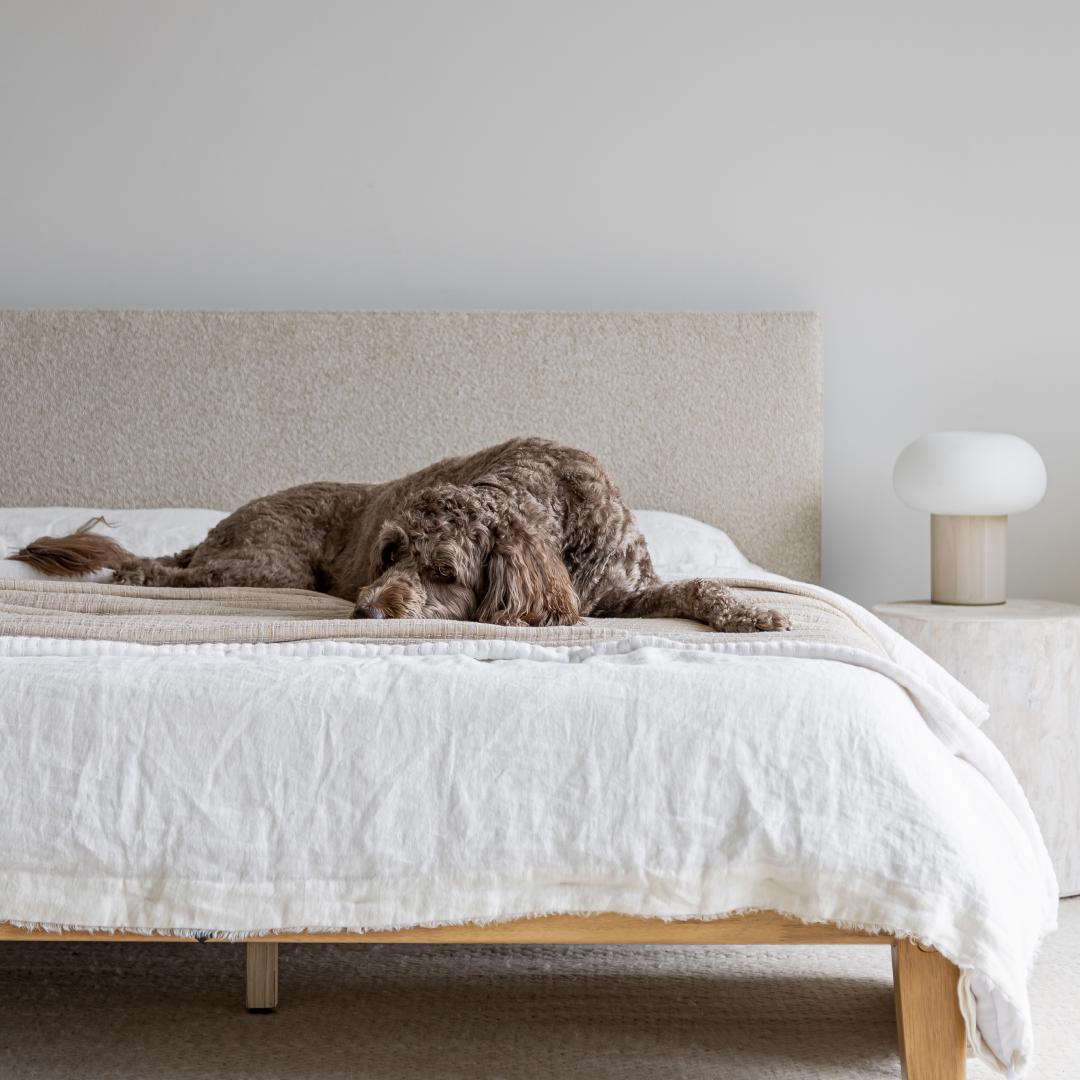 Luna Tool-free Double Bed - Buff – GP Home Furniture